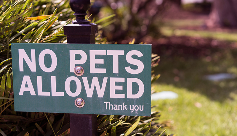 Enforcing And Implementing Rules For Tenants | Rental Choice