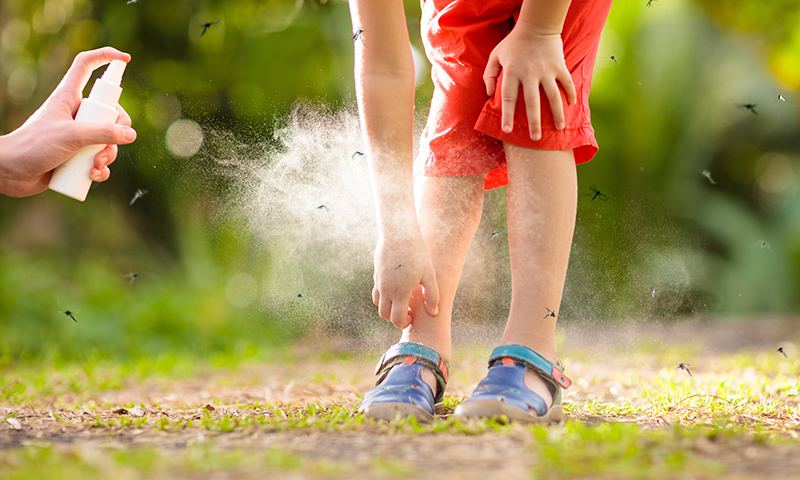 Most Common Bugs In Spring And Where They're Mostly Found | RC